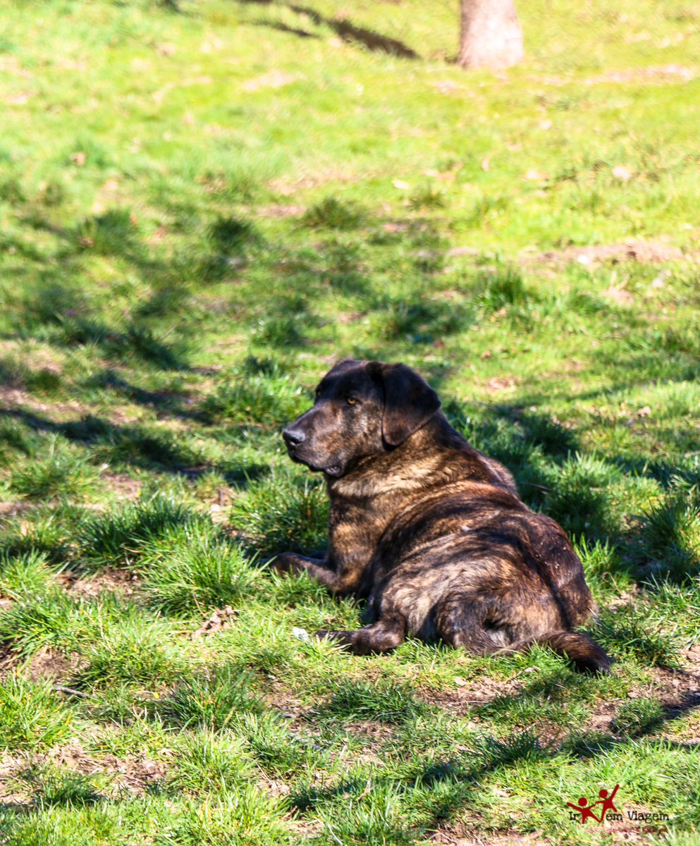 Castro Laboreiro e os seus tesouros - Ir em Viagem